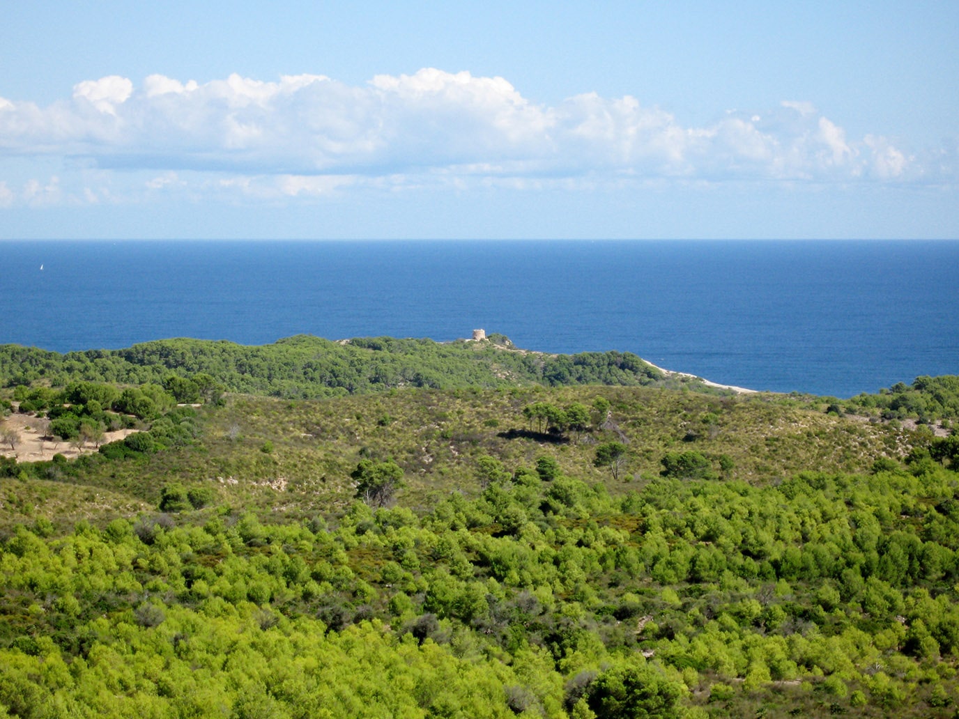 The Llevant Peninsula Natural Park - A Flora and Fauna Paradise with ...